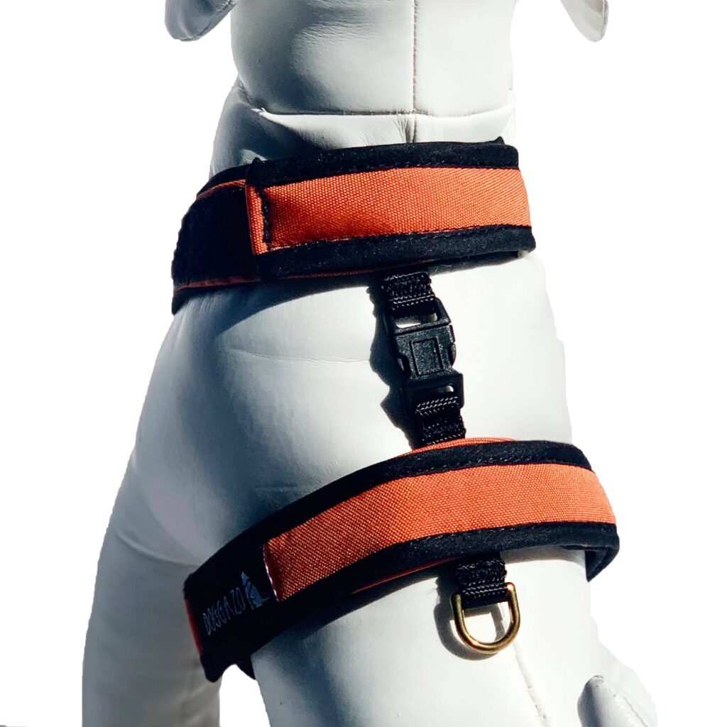 Orange Whoa Dog Whoa Harness