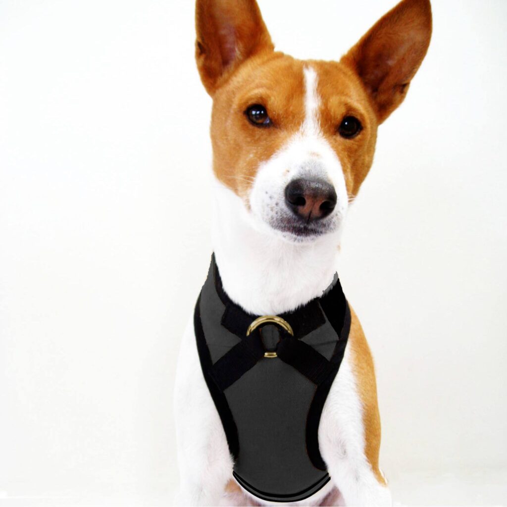 Moss Green Whoa Dog Whoa Harness