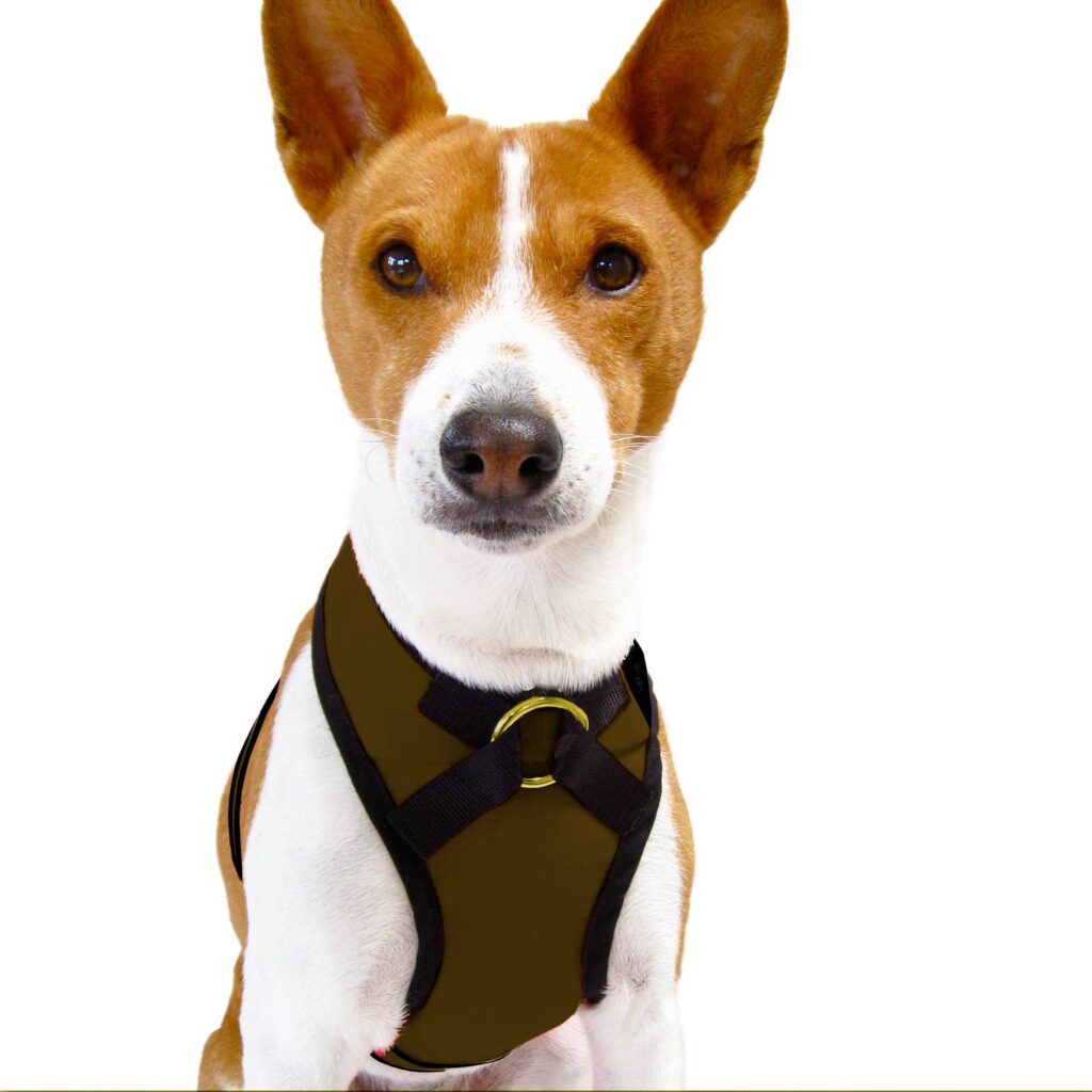 Brown Whoa Dog Whoa Harness