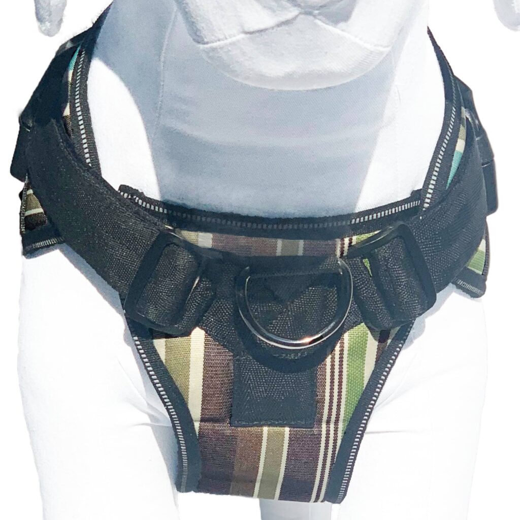 Upfront Harness – Blue Stripe